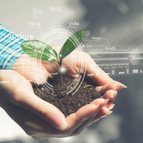 Biodegradable Industrial Lubricants | Lubricant Manufacturing