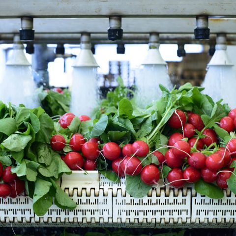 BioBlend Biodegradable Lubricants & Industrial Products