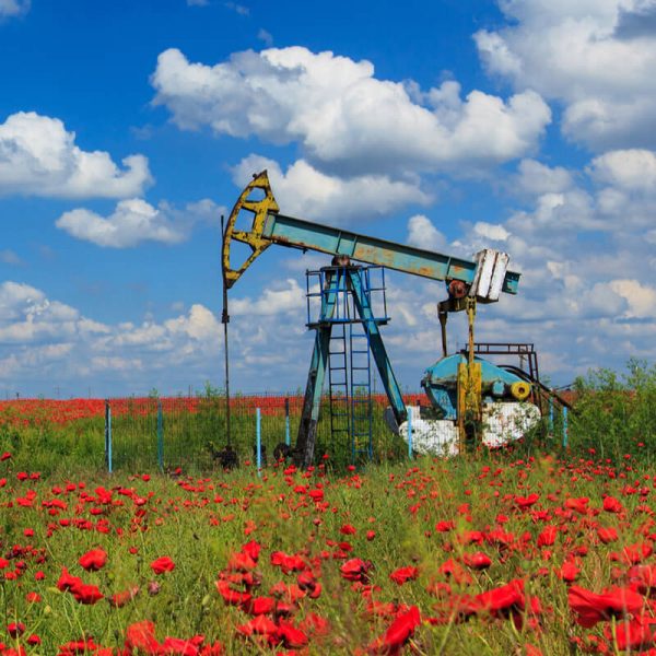 Bio-Based Greases | Biodegradable Grease | EAL Products