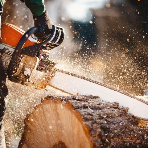 BioBlend Biodegradable Lubricants & Industrial Products
